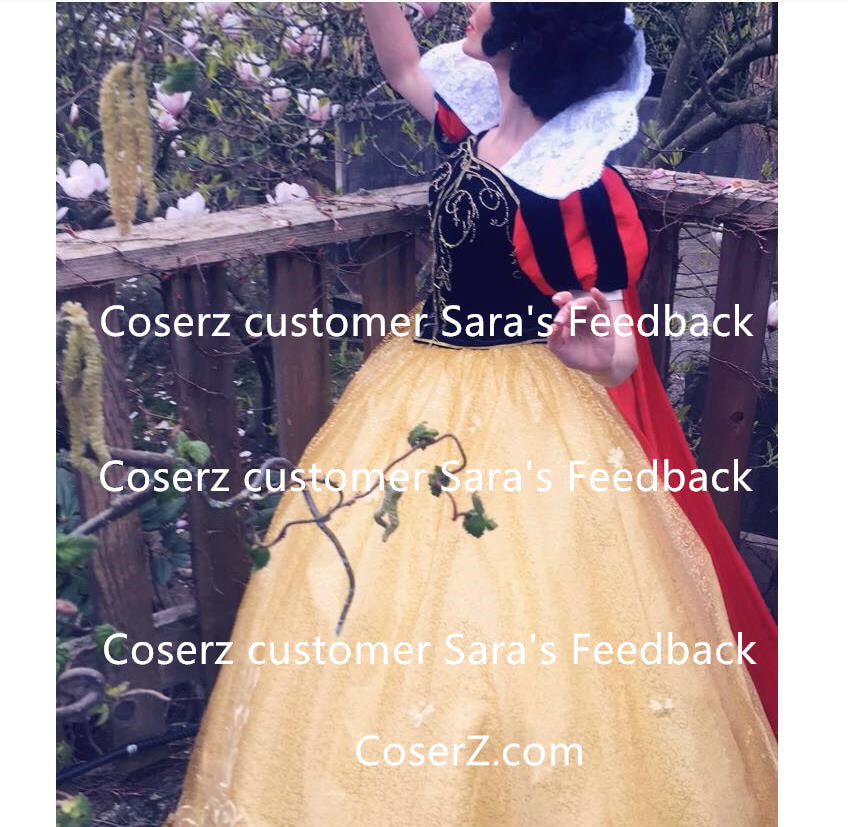 Custom-made Snow White Dress, Princess Snow White Cosplay Costume DS15 – CoserZ